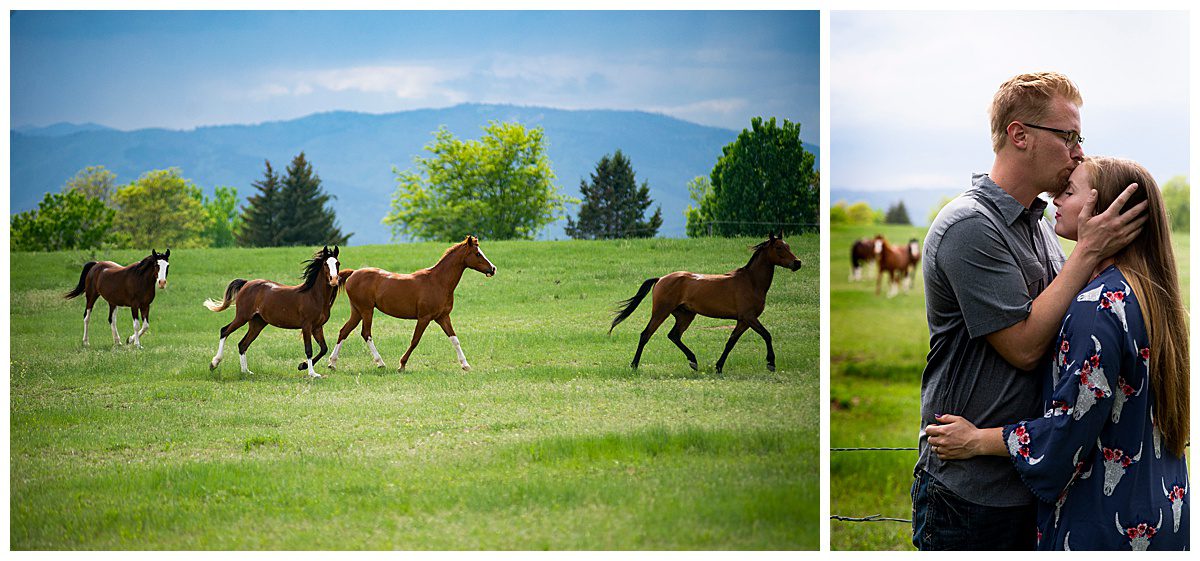 Sarah and Tyler's Engagement Shoot (Fort Collins, CO) ~ Two One Photography